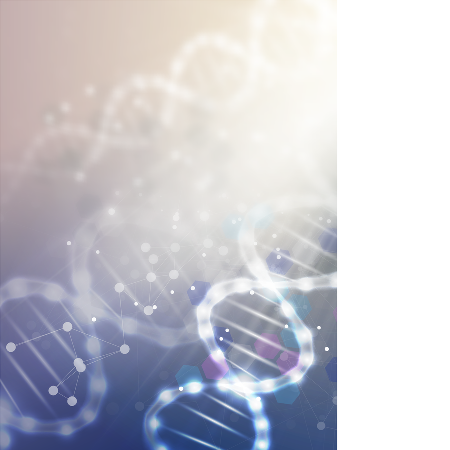 SD-619 – Nexgene Biotech Limited.