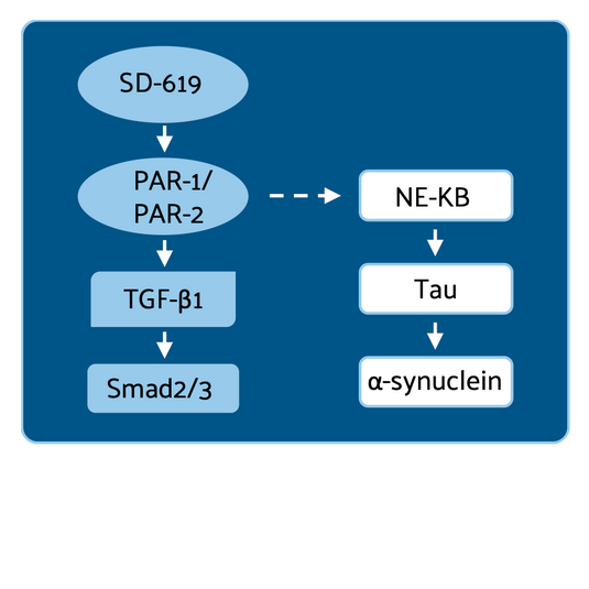 SD-619 – Nexgene Biotech Limited.